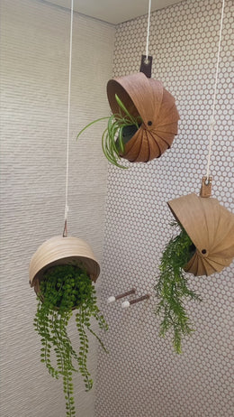 Hanging Planter – LayerTree